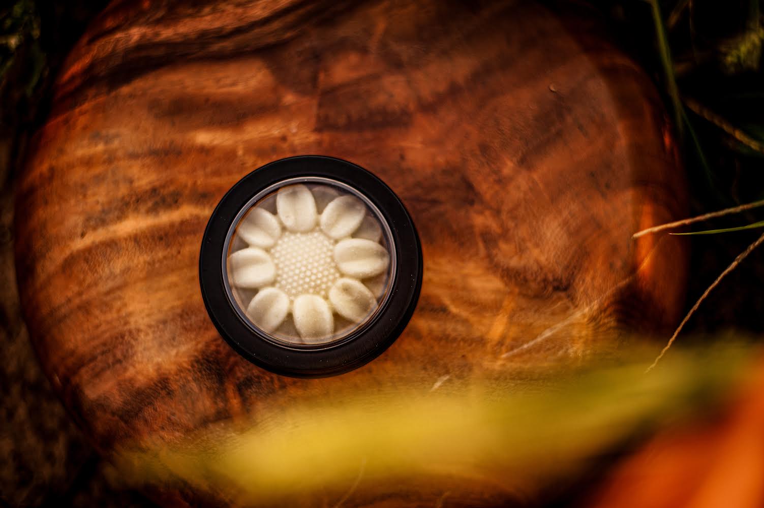 Tallow Lotion Bar – Butter Hide Tallow Products